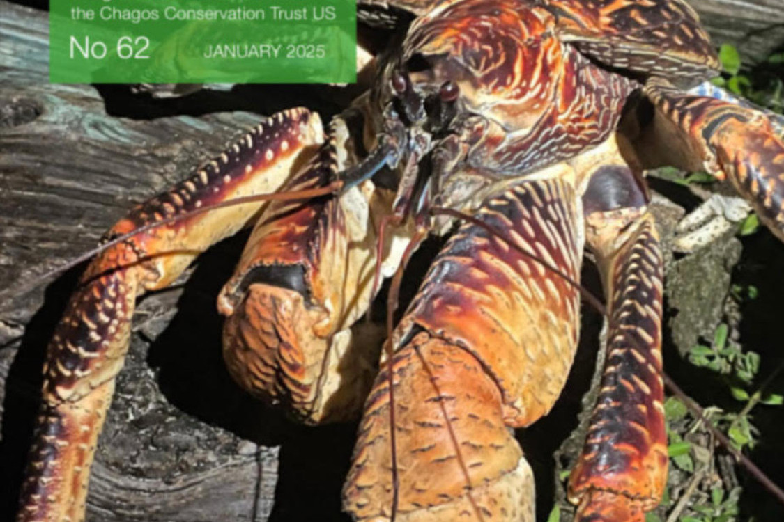 The latest issue of Chagos News is out now! | Chagos Conservation Trust