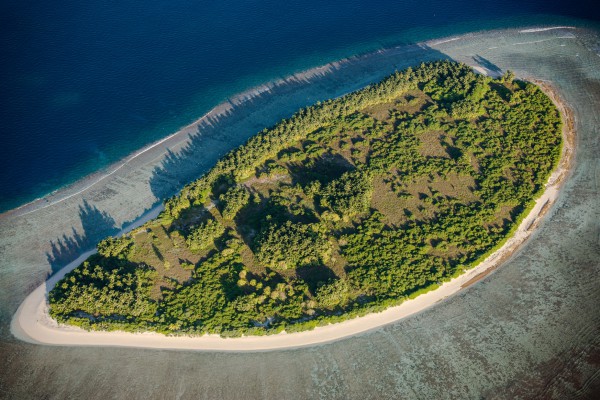 A world without coral reefs | Chagos Conservation Trust