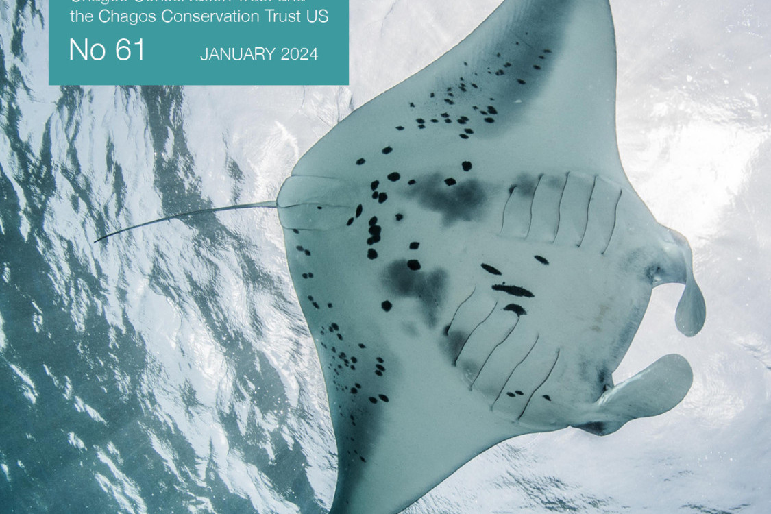 The latest issue of Chagos News has been published | Chagos ...