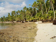 February 2012 Expedition - Day 12 - The Three Brothers | Chagos ...